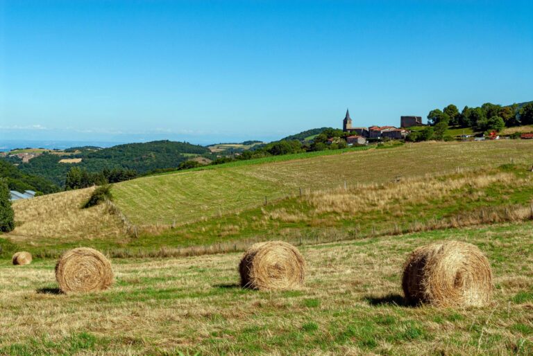 5 lieux magiques autour de Lyon pour se reconnecter avec la nature