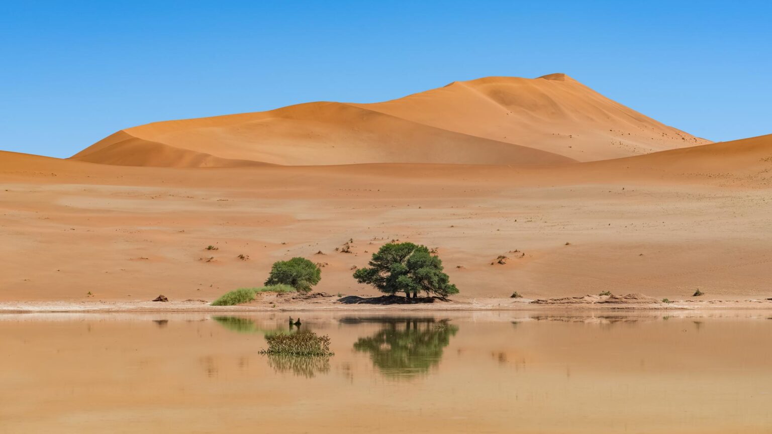 Les 5 oasis secrètes à découvrir dans le désert namibien