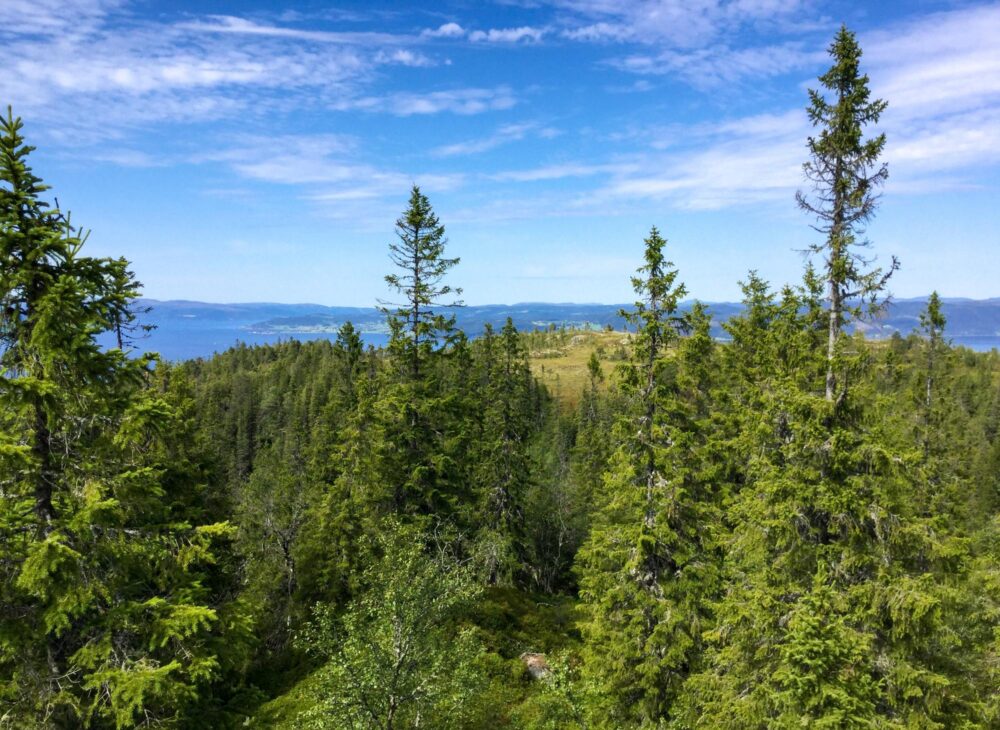 Les 5 randonnées polaires à faire à Kiruna