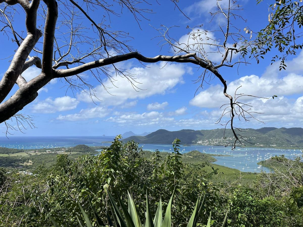 Les 4 sommets à conquérir en Martinique