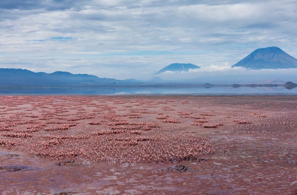 Les 4 merveilles de la nature à explorer en Tanzanie