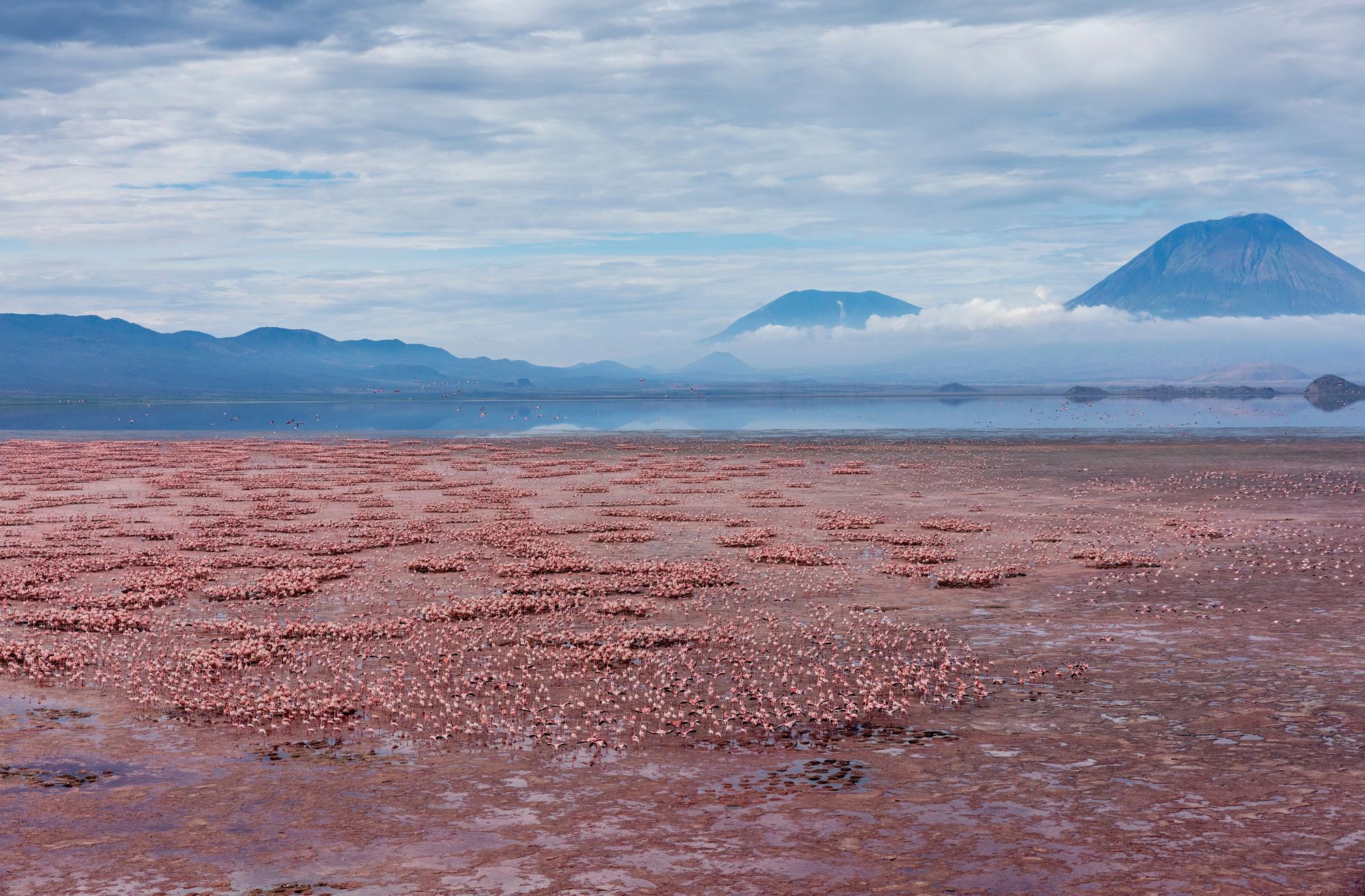 Les 4 merveilles de la nature à explorer en Tanzanie