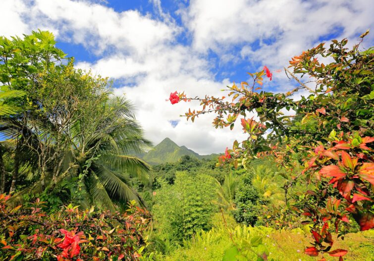 Les 9 plus beaux villages de Martinique