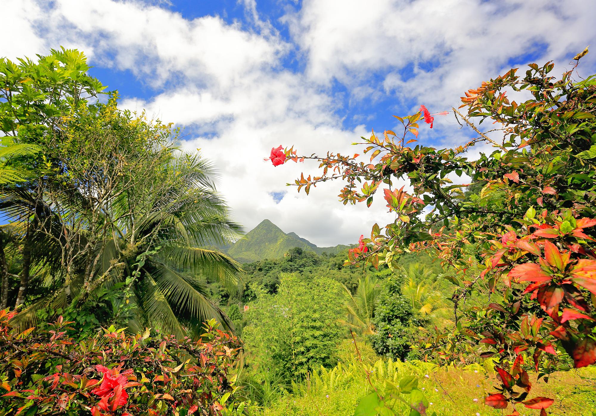 Les 9 plus beaux villages de Martinique