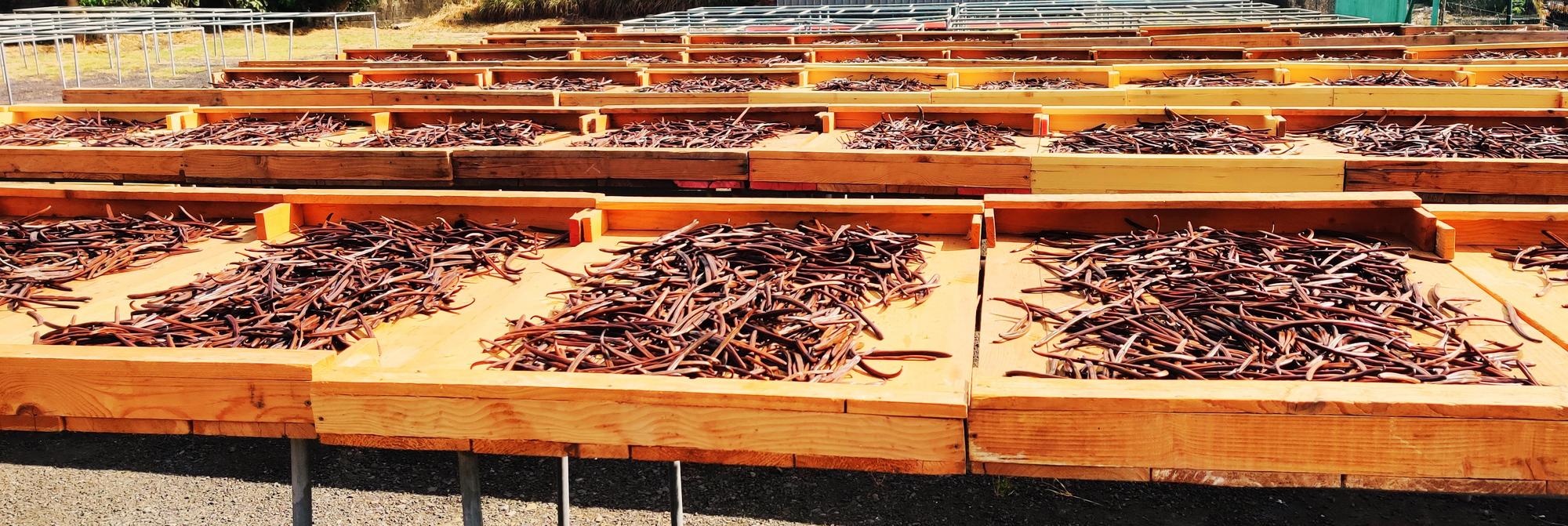 Les 6 plus beaux marchés de La Réunion