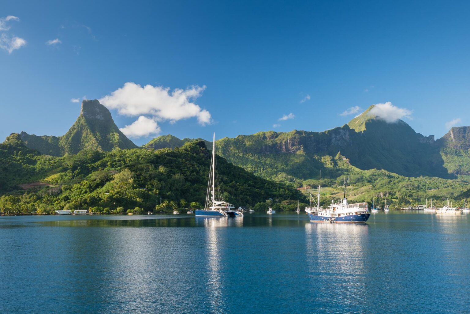 Les 6 plats traditionnels polynésiens à essayer absolument