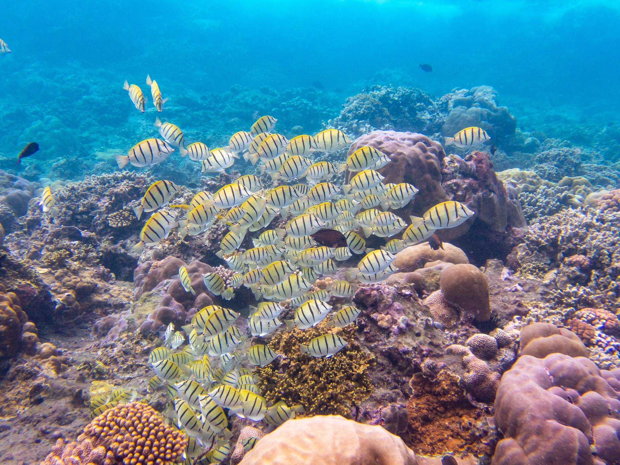 Les 8 lieux de légende à explorer sur l'île de La Réunion