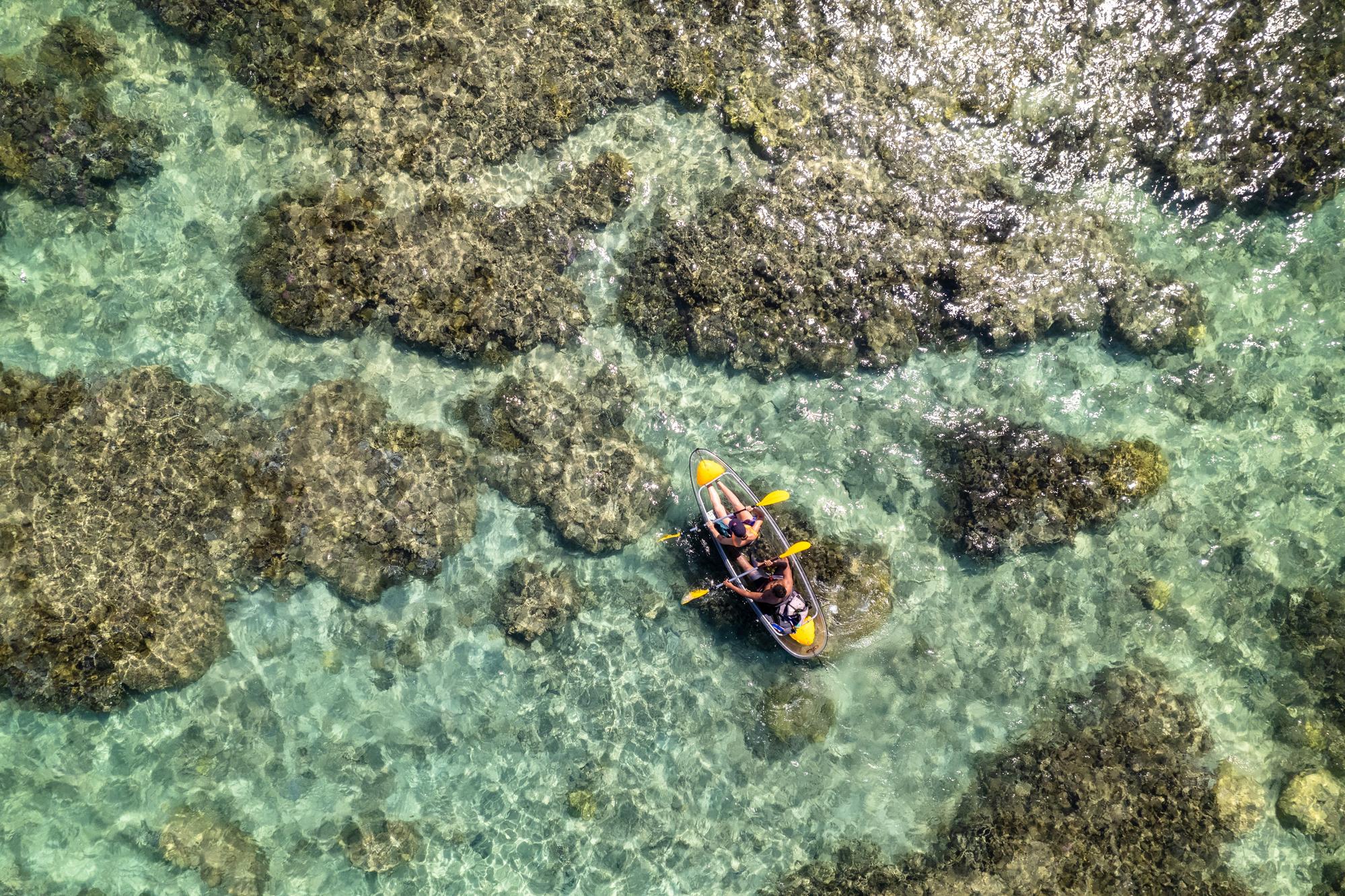 8 expériences à vivre dans la Réserve naturelle marine de l'île de La ...