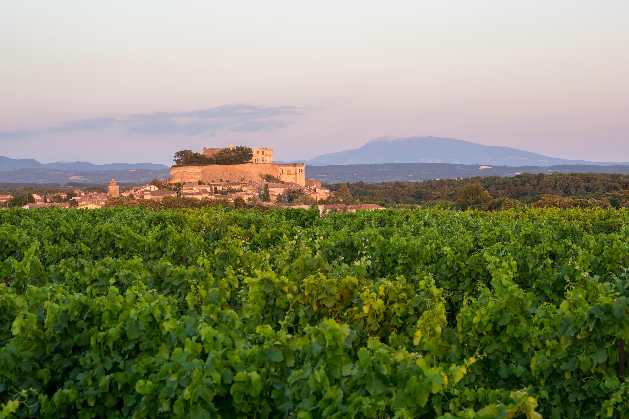Les 7 domaines viticoles incontournables de la Drôme
