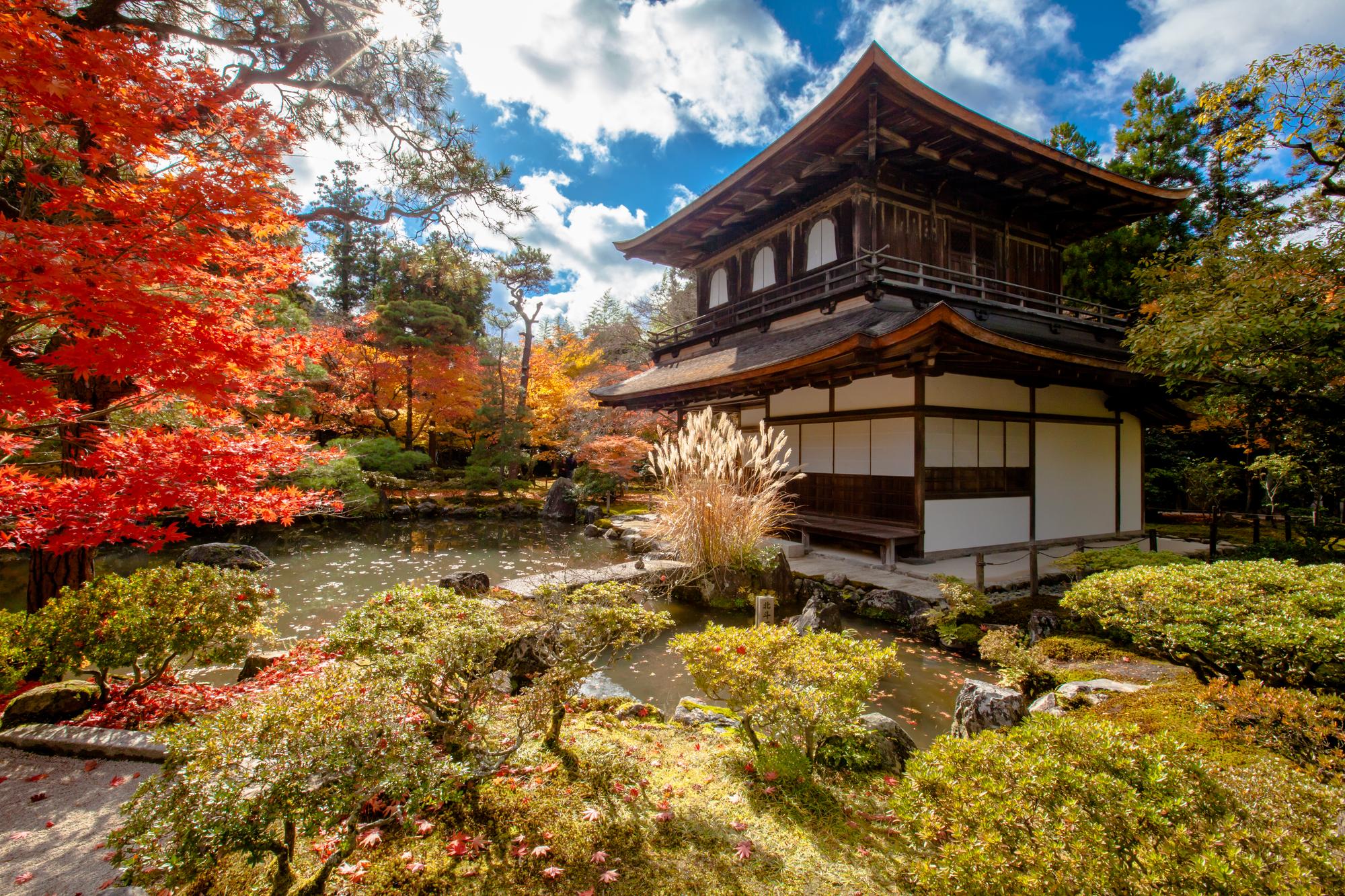 Les 5 temples emblématiques à visiter à Kyoto