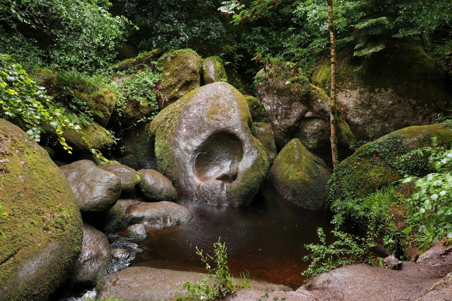 Cette forêt bretonne, berceau des légendes celtes, cache des rochers ...
