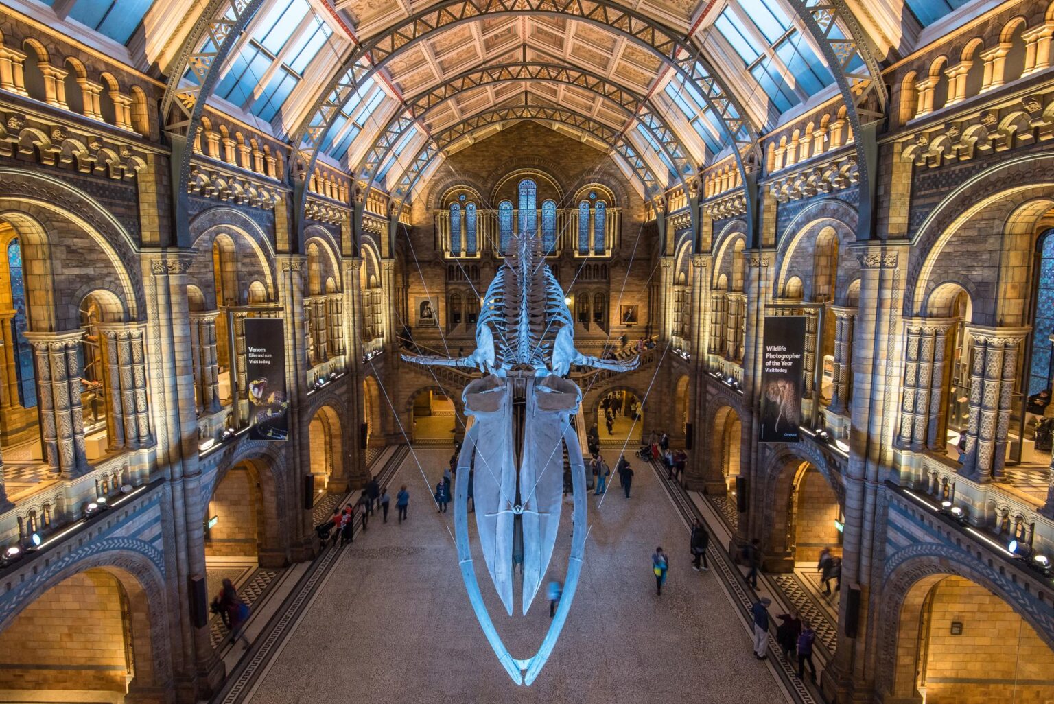 Visiter le Musée d'histoire naturelle de Londres : billets, prix, horaires