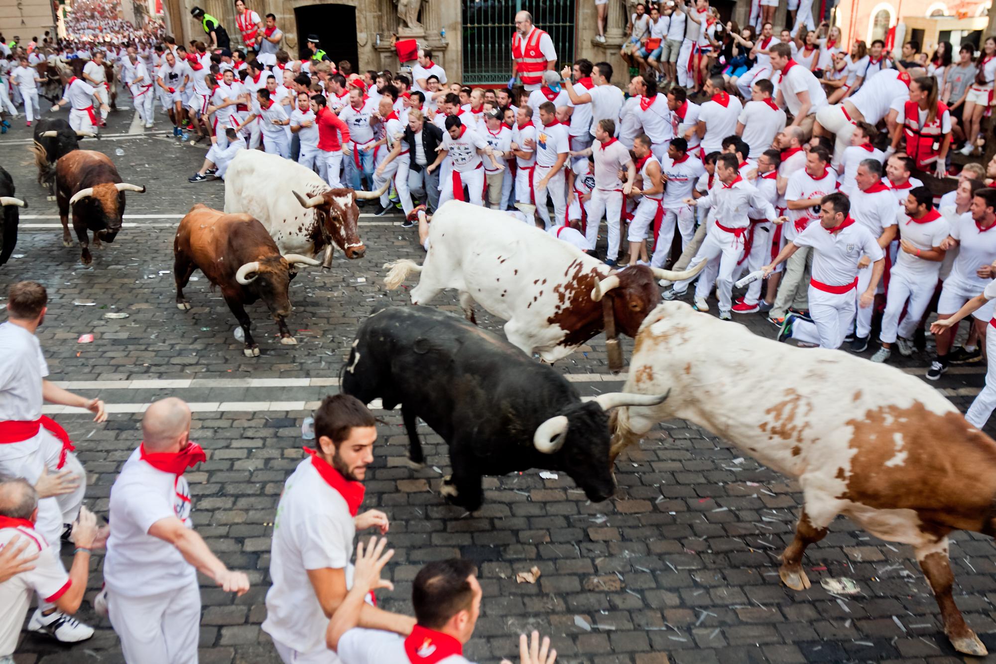 Les 8 plus belles fêtes et ferias du Pays Basque