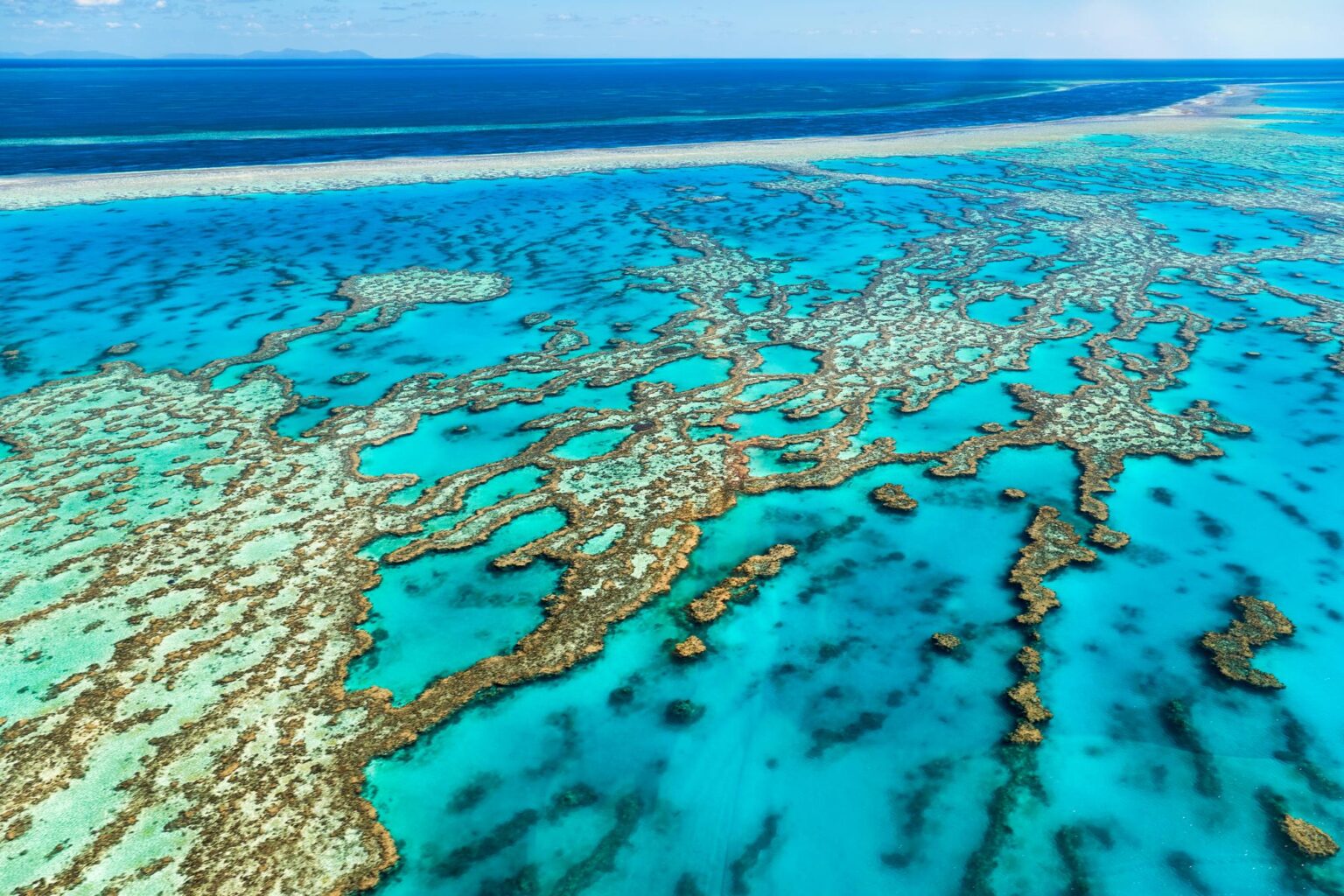 Visiter la Grande Barrière de Corail en Australie : billets, prix, horaires