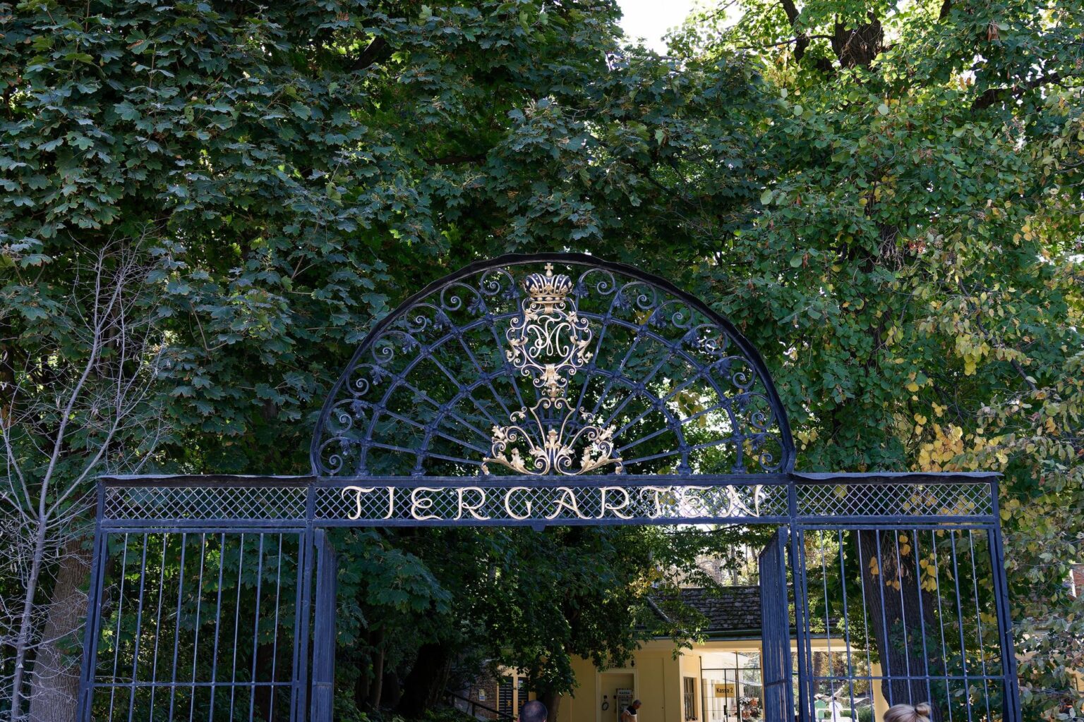 Croisière sur le Danube à Vienne : itinéraires, tarifs, réservation