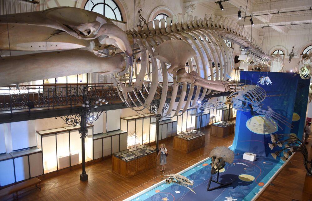 Visiter le Musée océanographique de Monaco : billets, prix, horaires