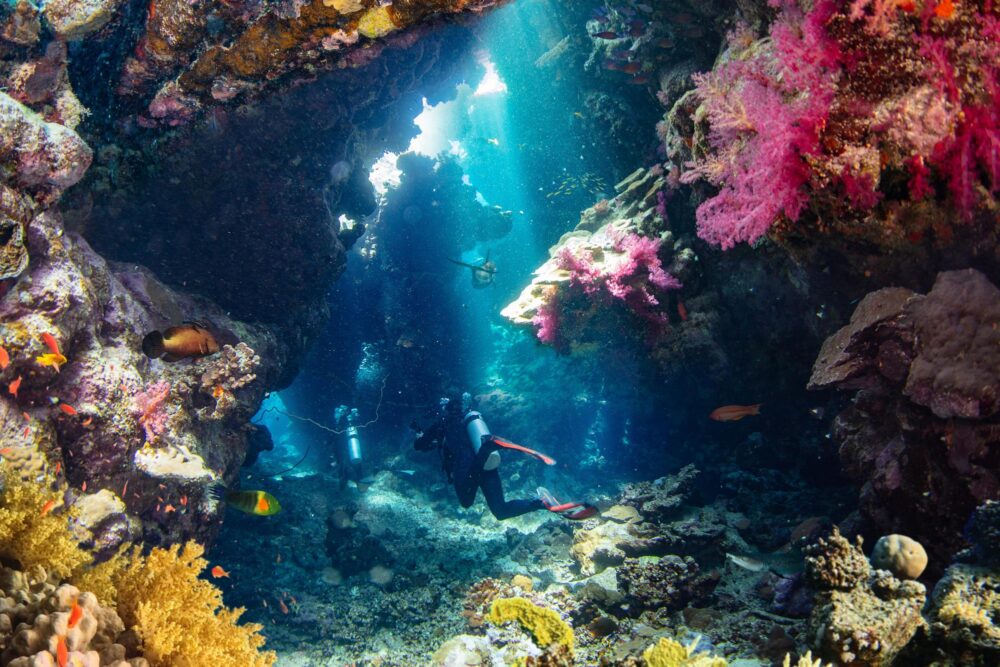 Plongée sous-marine à Nice : itinéraires, tarifs, réservation