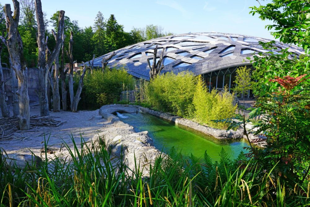 Visiter le Zoo de Zurich : billets, prix, horaires