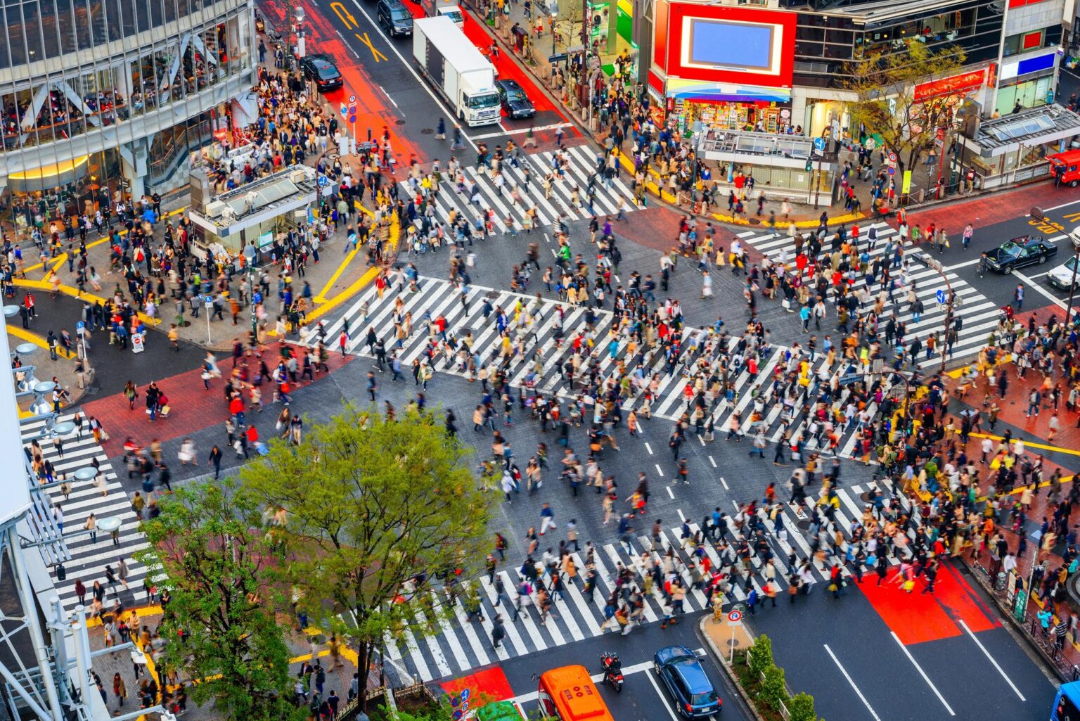 Visiter le Shibuya Crossing à Tokyo : billets, prix, horaires