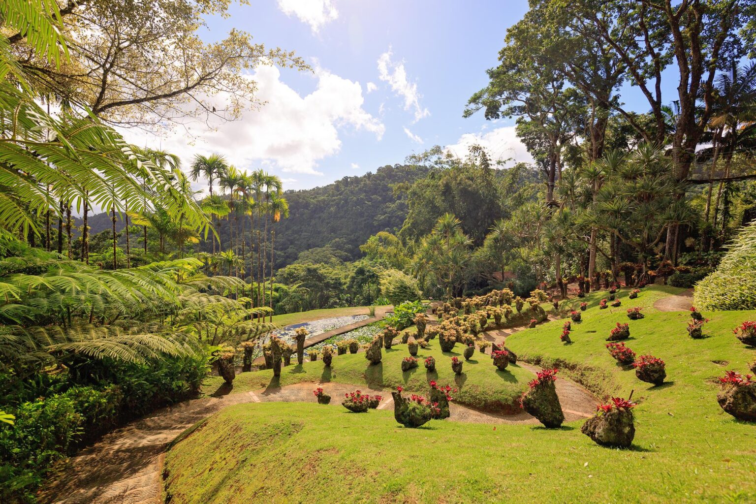 Visiter le Jardin de Balata en Martinique : billets, prix, horaires