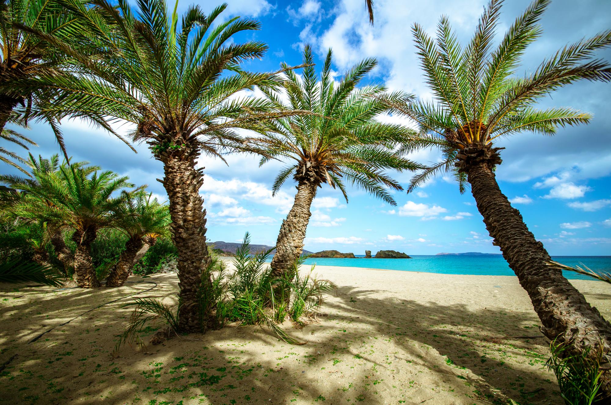 Visiter la Crète : 10 incontournables à faire et voir (Grèce)