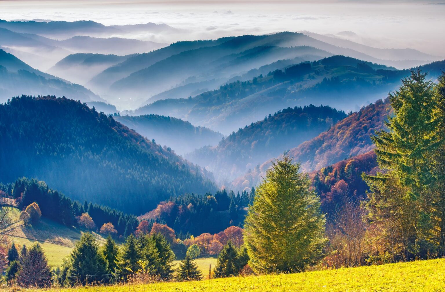 Visiter la Forêt-Noire : 10 incontournables à faire et voir (Allemagne)