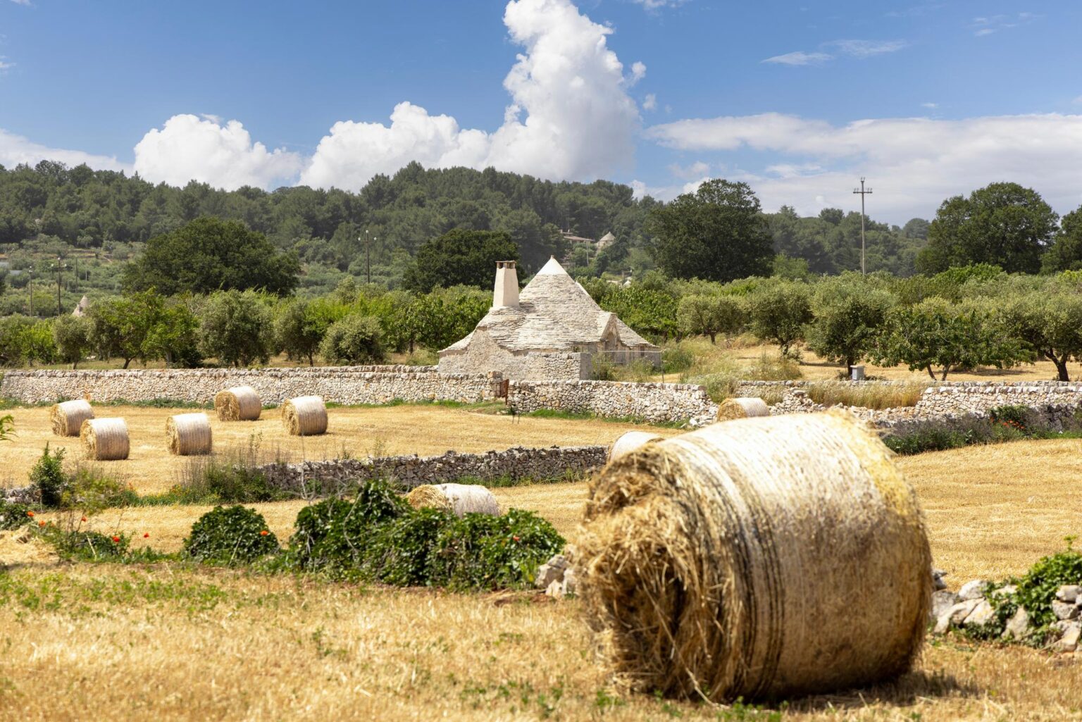 Road trip dans les Pouilles : 11 itinéraires incontournables