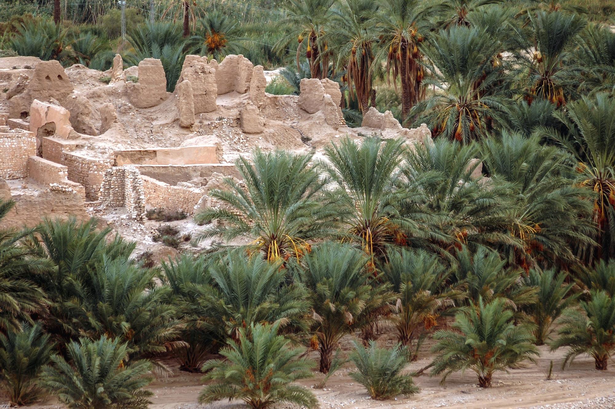 Les 10 plus belles randonnées à faire en Tunisie