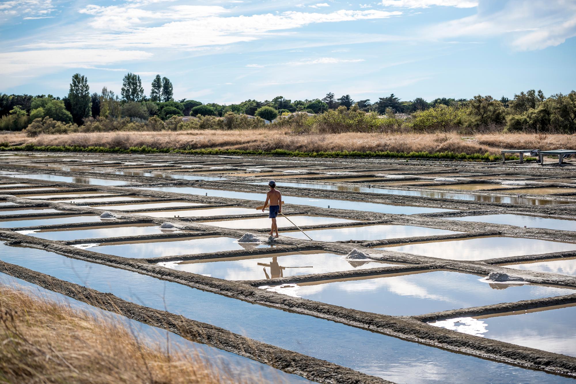 Visiter l'Île de Ré : les 10 choses incontournables à faire