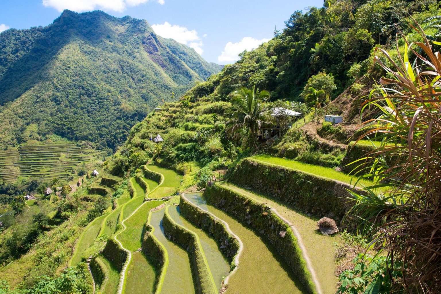 Les 7 plus belles rizières à voir aux Philippines