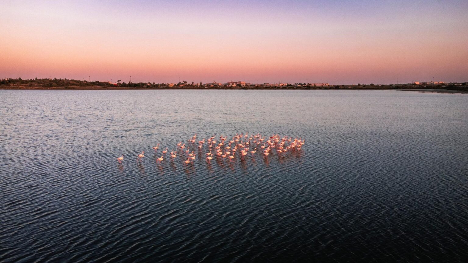 Visiter Larnaca : 10 incontournables à faire et voir (Chypre)