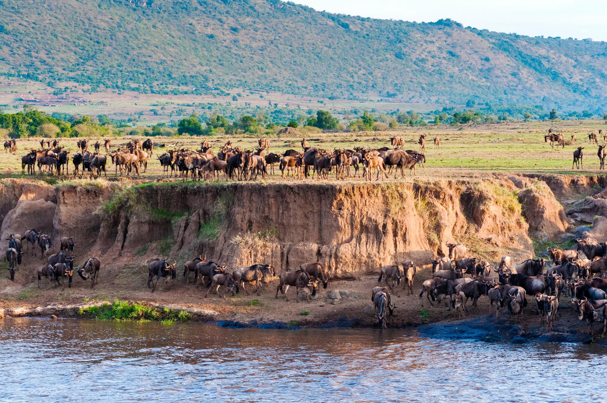 Les 10 parcs nationaux africains à voir absolument (sans forcément de ...