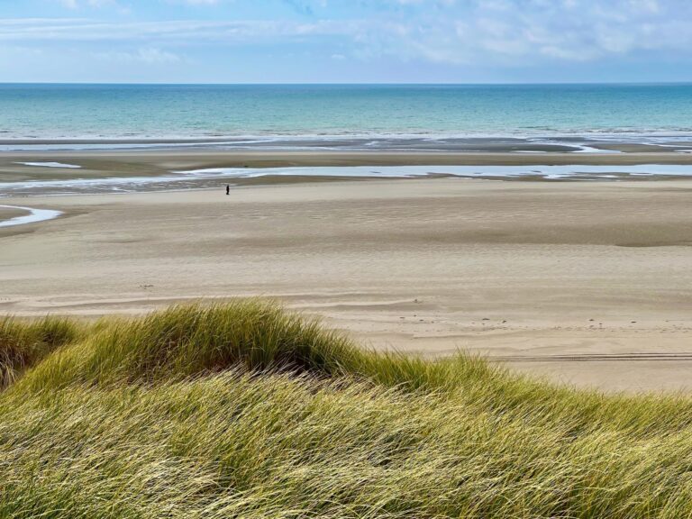 Visiter la baie de Somme : 10 incontournables à faire et voir
