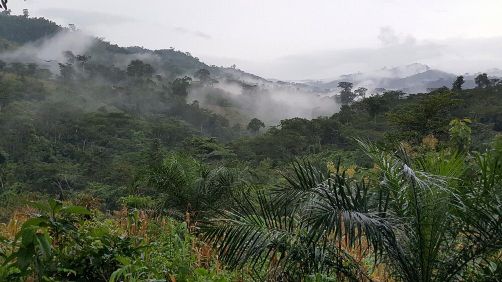 Visiter le Togo : 10 incontournables à faire et voir